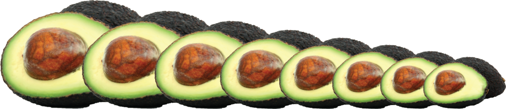 Avocados – Urapa Produce